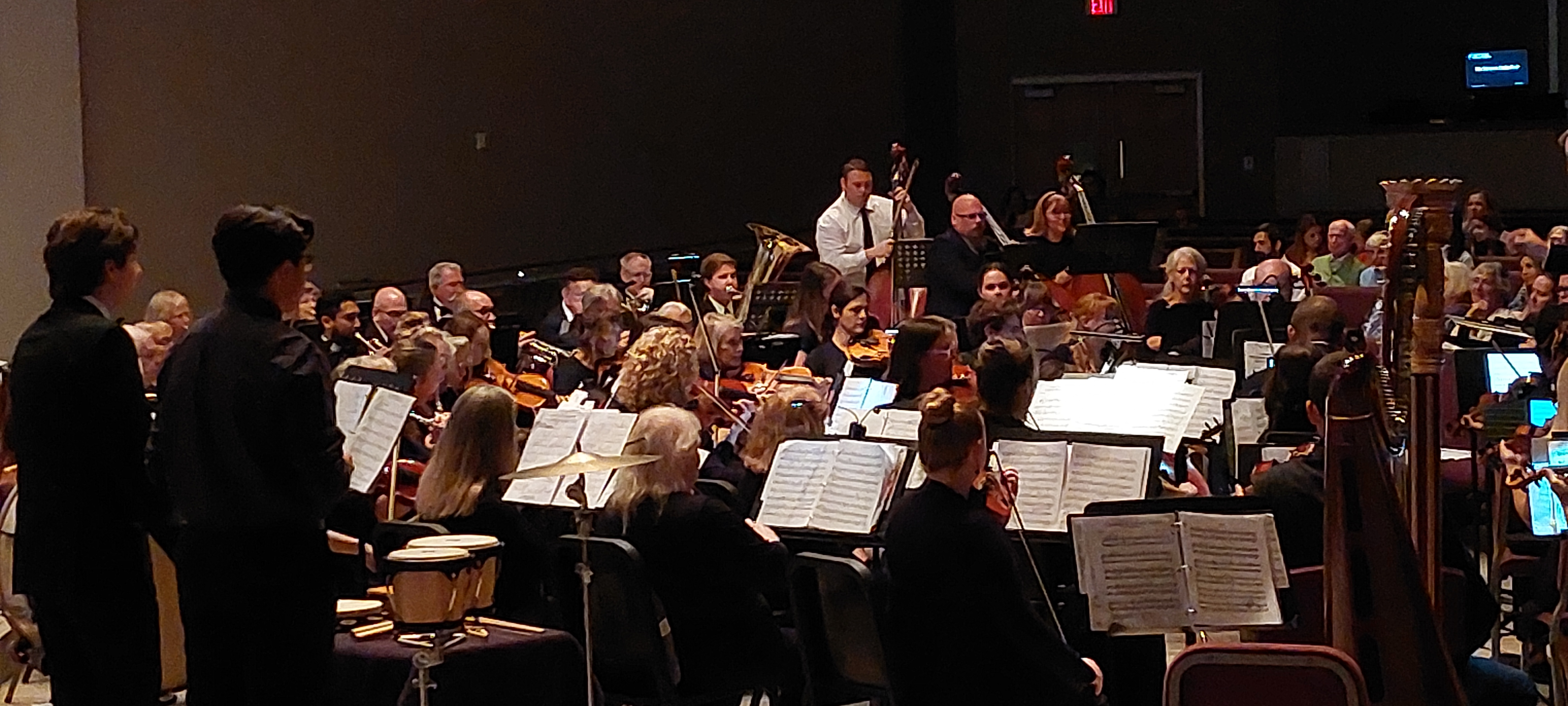 Our Talented Musicians♪♪ – Florida Philharmonia Orchestra